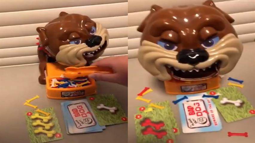 机器狗会咬人吗截图