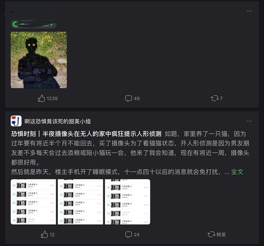 监控里人形侦测是什么意思图标