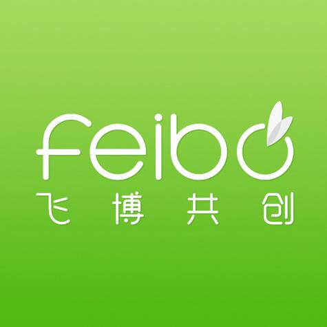 飞博共创网络科技股份有限公司图标