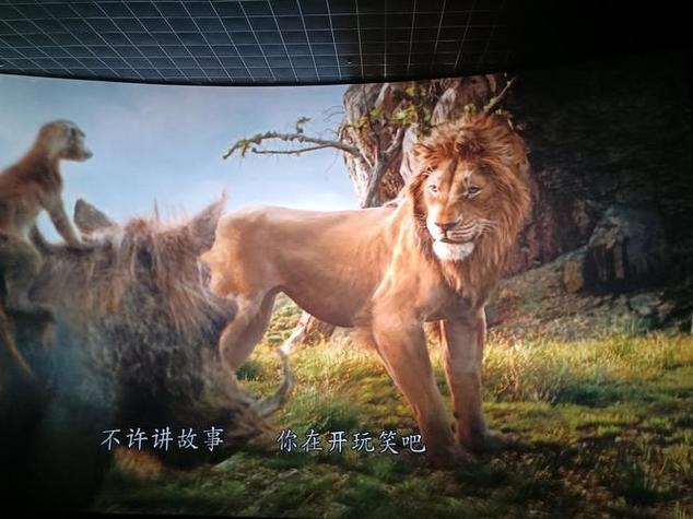狮子王科技图标