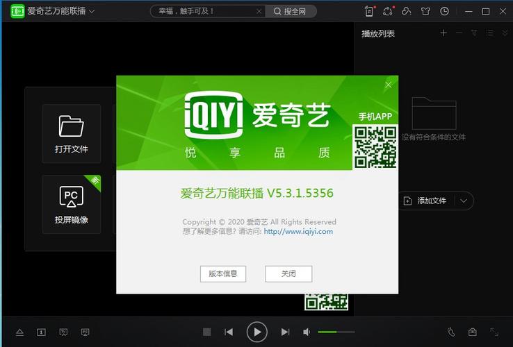 爱奇艺万能播放器支持什么格式截图