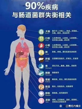 交换肠道菌群是什么意思图标