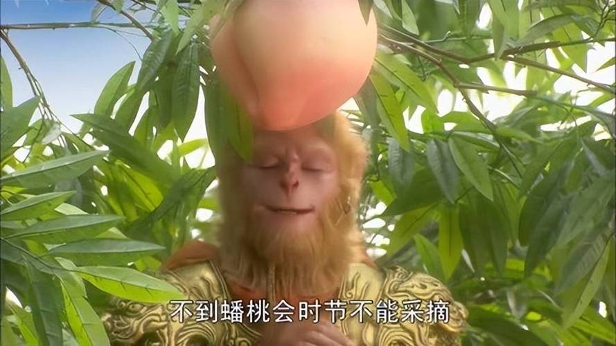 蟠桃园老一接桃子截图