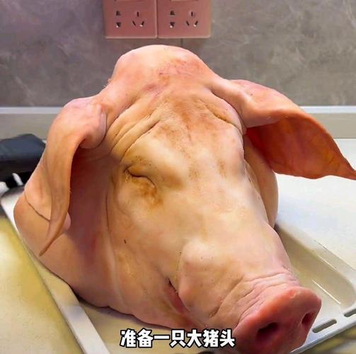 抖音里的猪头特效在哪图标