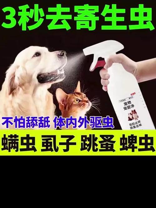 小猫咪身上的跳蚤怎么去除图标