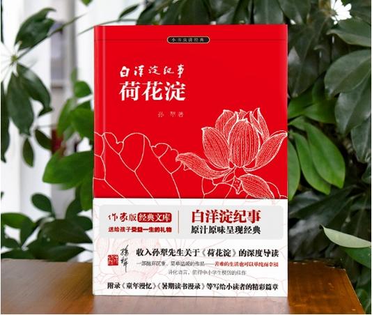荷花有关的小说