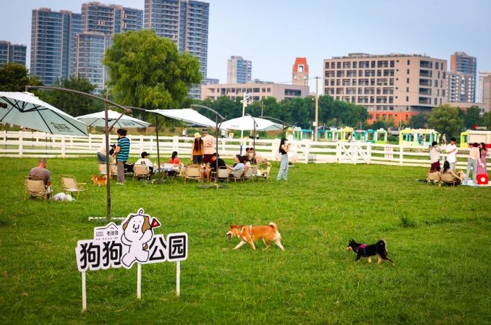 狗狗公园