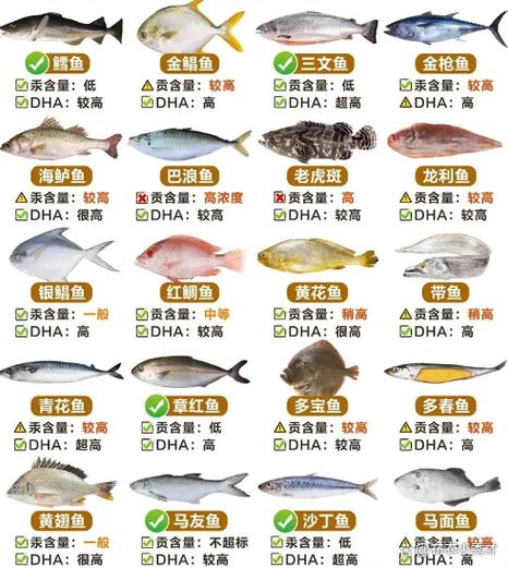海鱼的品种大全及图片图标