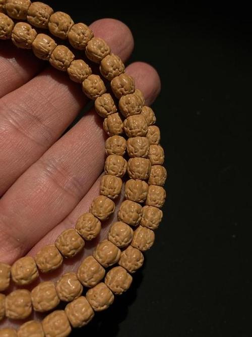 小金刚品种大全