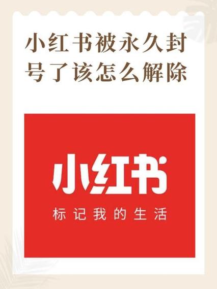小红书用户资料被锁定怎么办截图