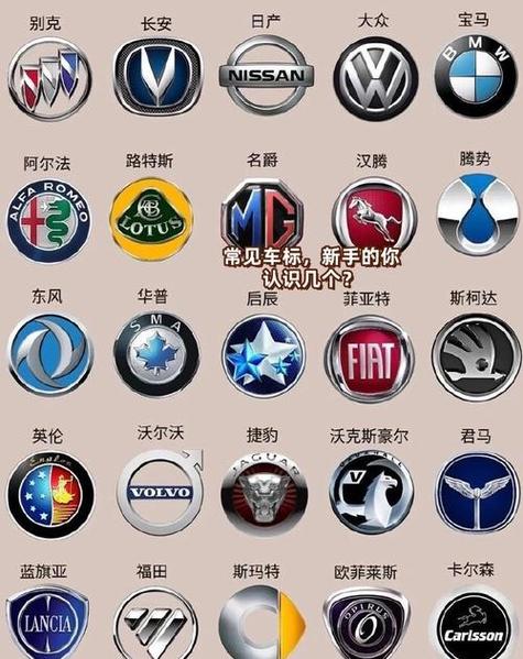 中间有个v是什么牌子