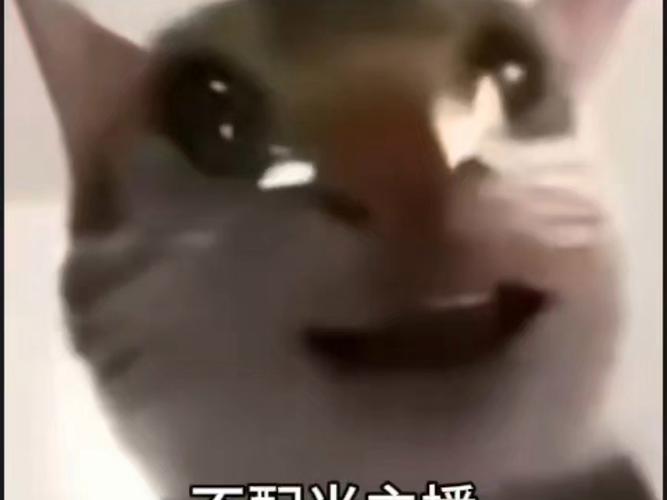 主播常用的表情包截图