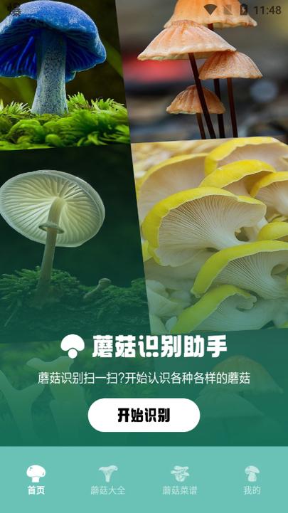 口蘑去掉梗里边是黑的能吃吗图标
