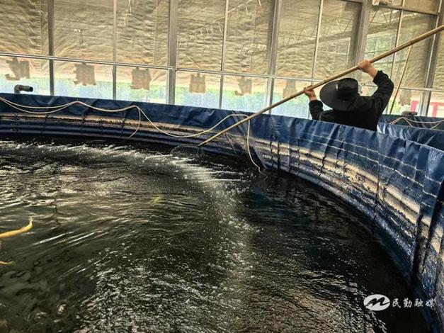 水产养殖什么好养又赚钱截图