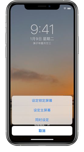 苹果手机屏幕有重影图标