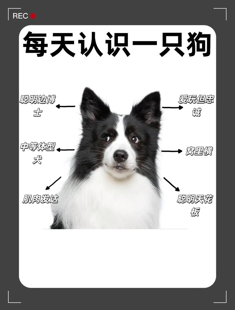 vivo直驱供电的优缺点图标