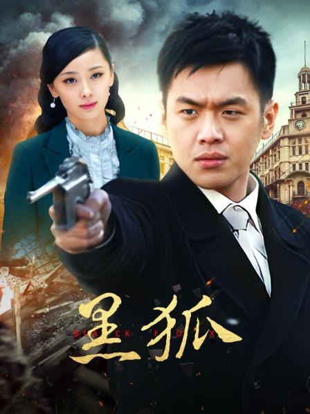 黑狐电视剧1-40集全缩略图
