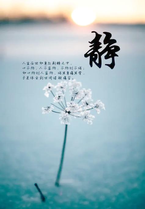 怎么样净化心灵截图