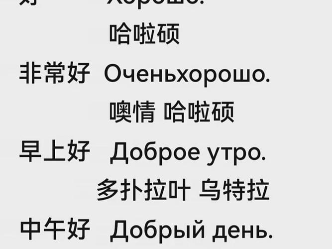 俄语快点怎么说截图
