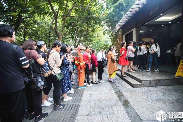 怎么解决景区排队问题截图