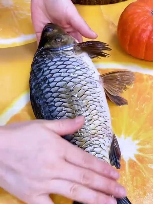 小鱼去鱼鳞最佳方法视频图标