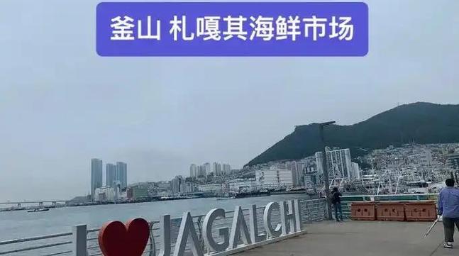 韩国釜山买什么便宜图标