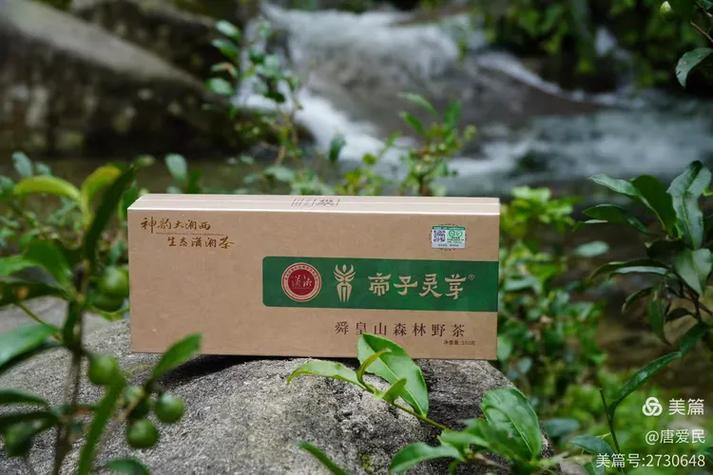 帝子灵芽多少钱一盒