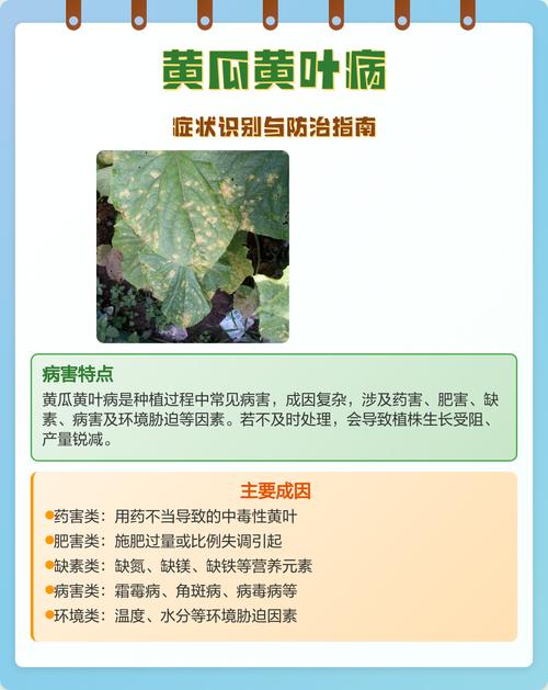 黄瓜黄叶病怎么治图标