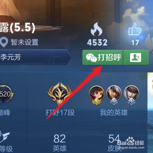 王者荣耀让加微信的人截图