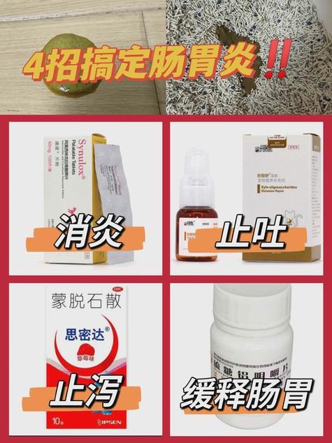 猫咪肠胃炎吃什么食物图标