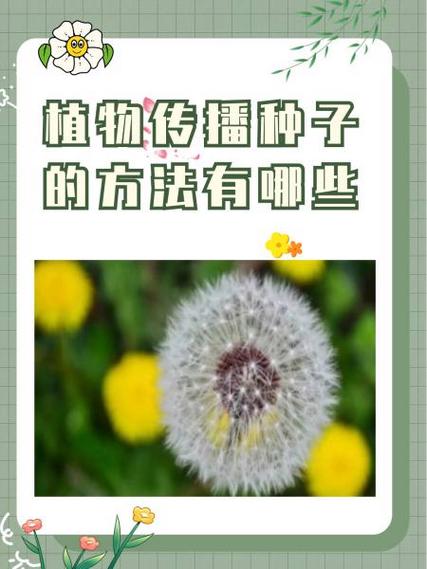 自定义模式种子生成方法图标