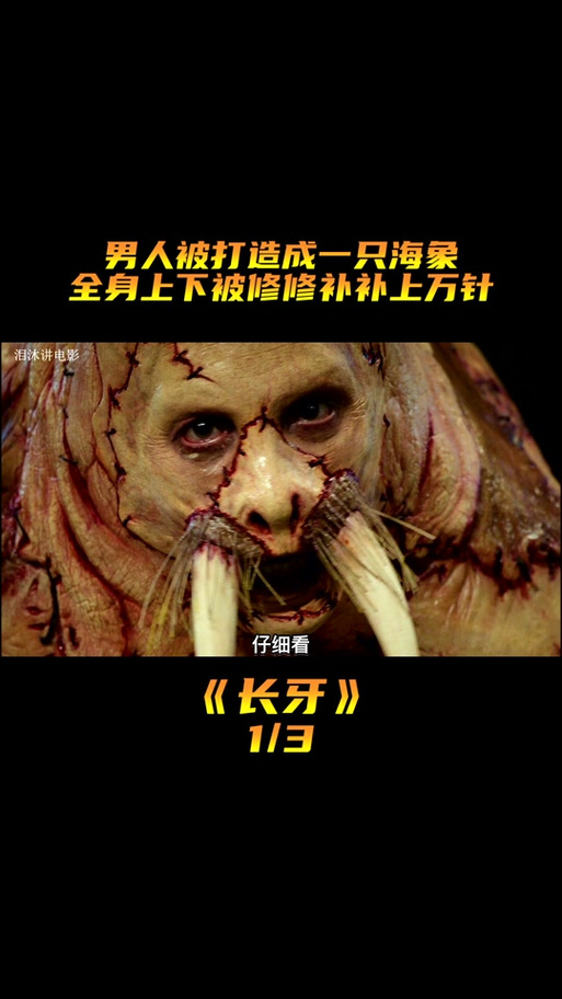 海狮影视图标