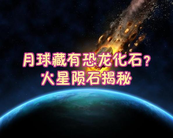 行星化石图标