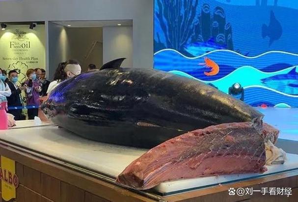 为什么蓝鳍金枪鱼比黄鳍金枪鱼贵图标