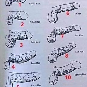 男性的正常粗细对照截图