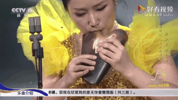 CCTV15中国器乐电视大赛2019截图
