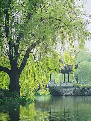 春天美景照片图标