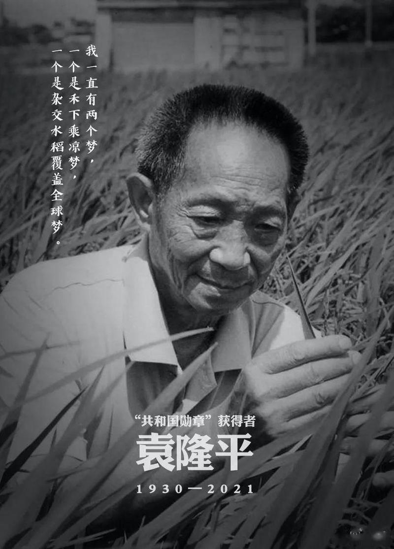 鸿文的骄傲图标
