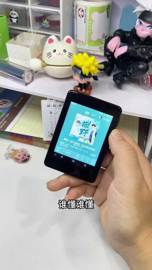 手机导歌到mp4