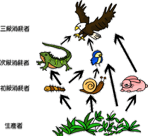 《食物链》5图标