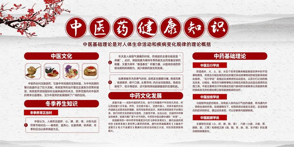 中医健康养生知识图标