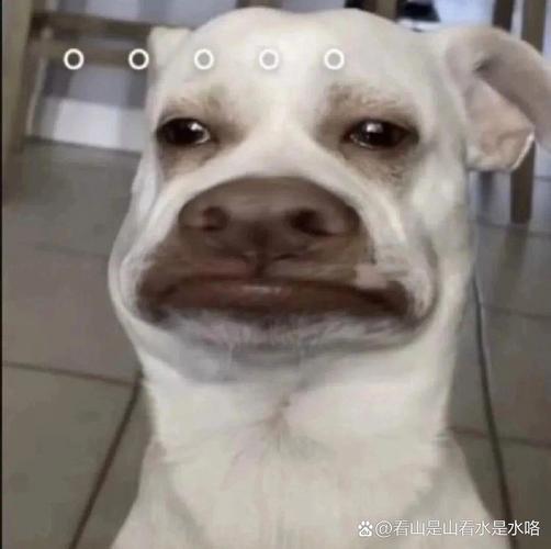 很无语的微信表情包