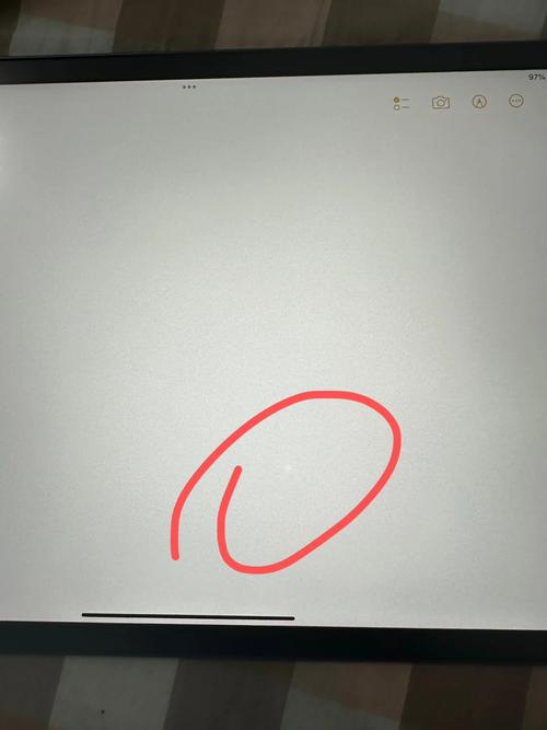 ipad屏幕四周有一圈白图标