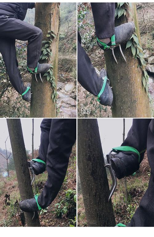 爬树脚扣爬树专用工具图标