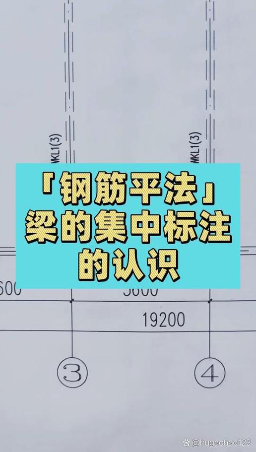 梁钢筋集中标注图解
