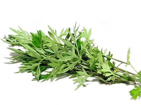 端午节的草药有哪些截图