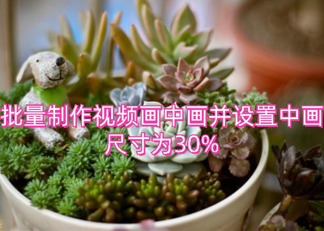 画中画怎么调节尺寸截图