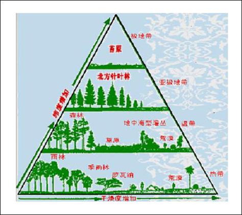 能量流动的范围是什么图标