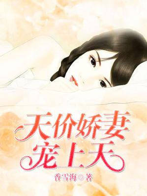 天价娇妻宠上天免费阅读全文
