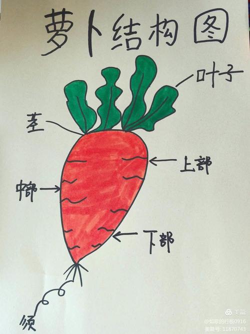 保卫萝卜波仔很忙25关攻略图解图标